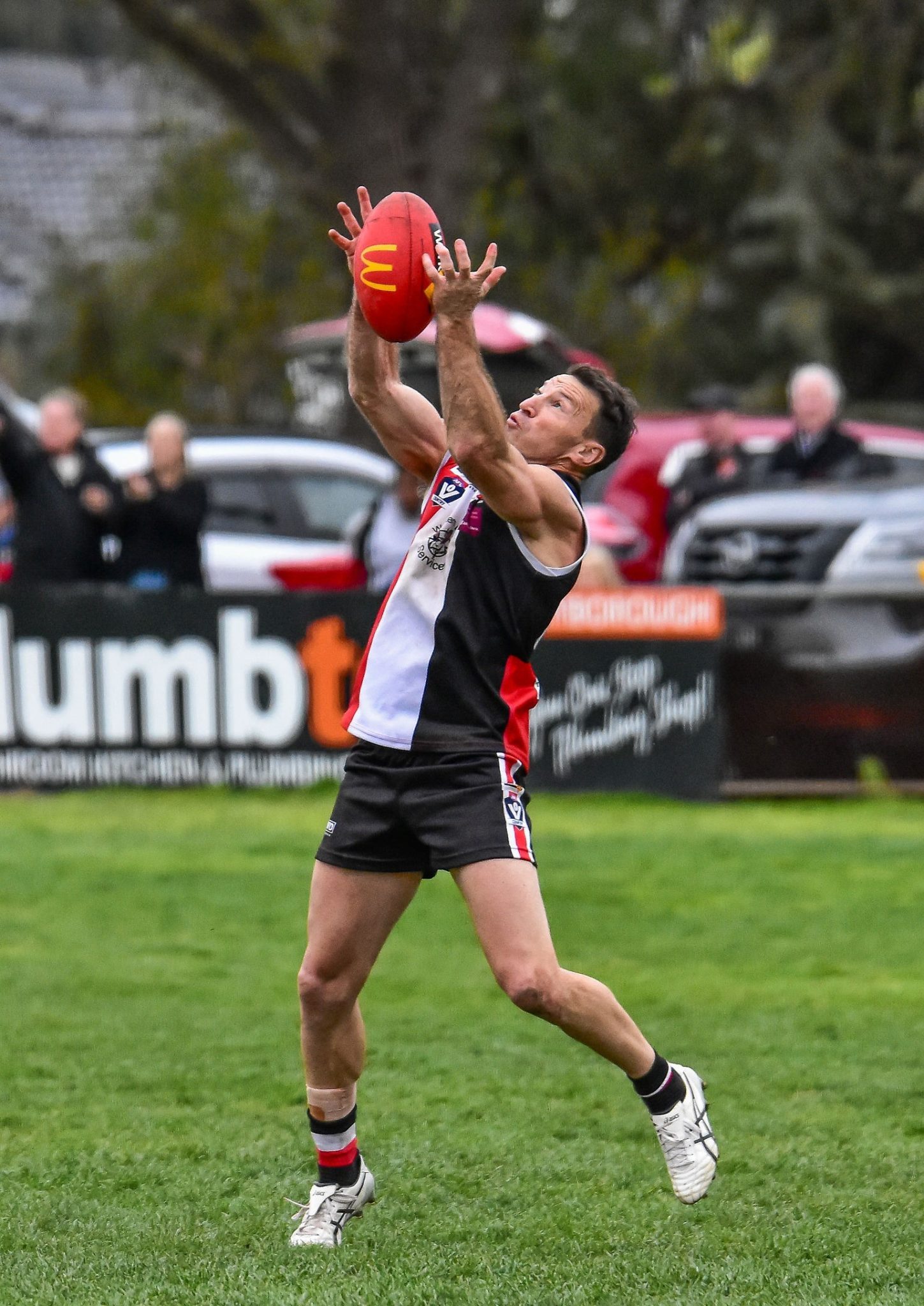 Saints claim premiership glory | Midland Express